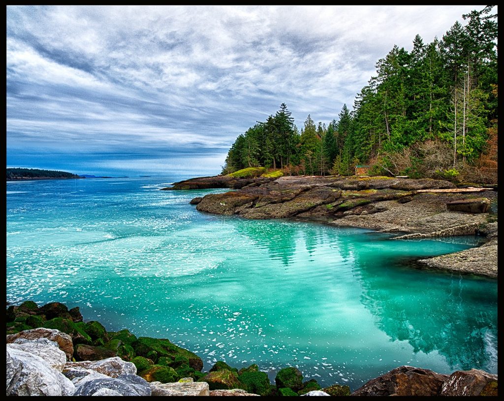 Access Prime Nature & Wildlife Photography on Denman Island - Visit ...