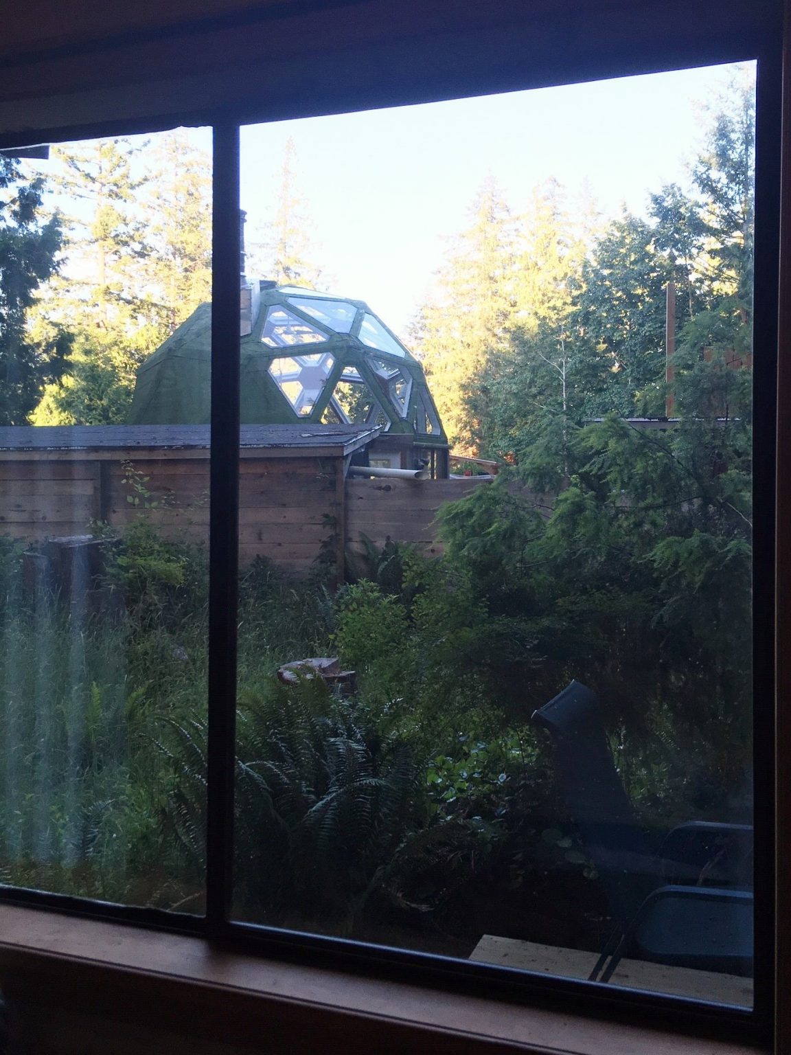 DH Kayak - cabin - window view 2_light - Visit Denman Island